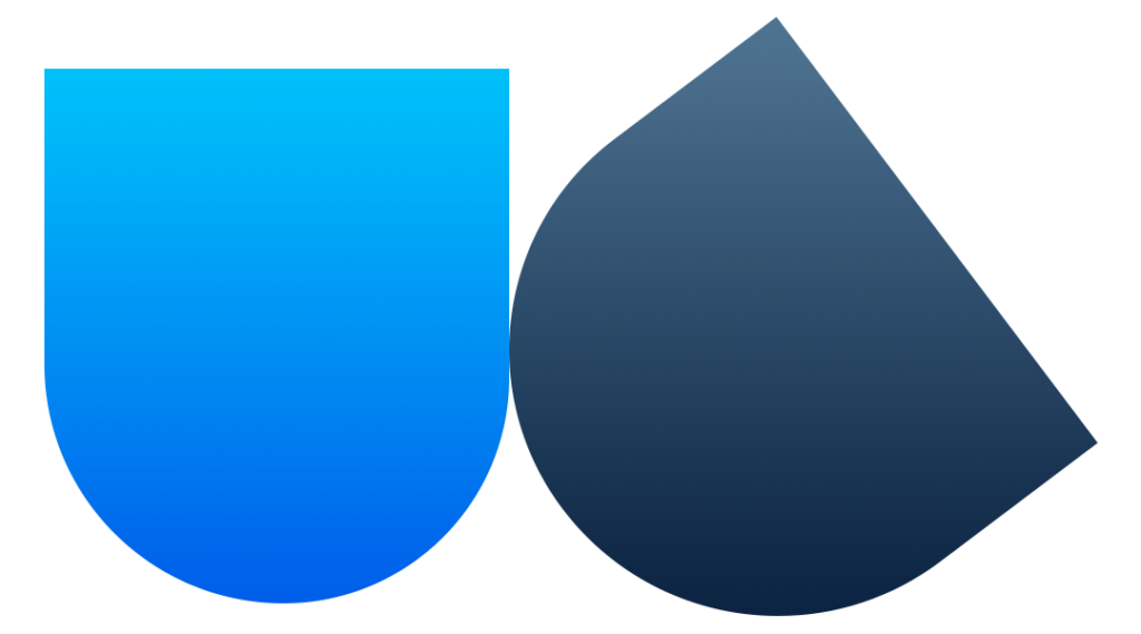 Assignment 47 Subfinder Lightweight Subdomain Discovery – UrduCourses